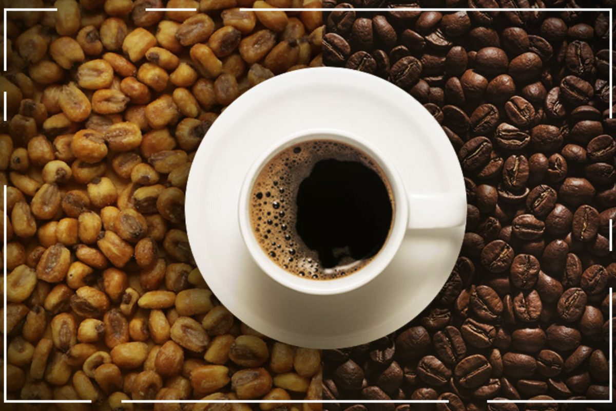 Café de Milho: Conheça a bebida que está conquistando o mundo